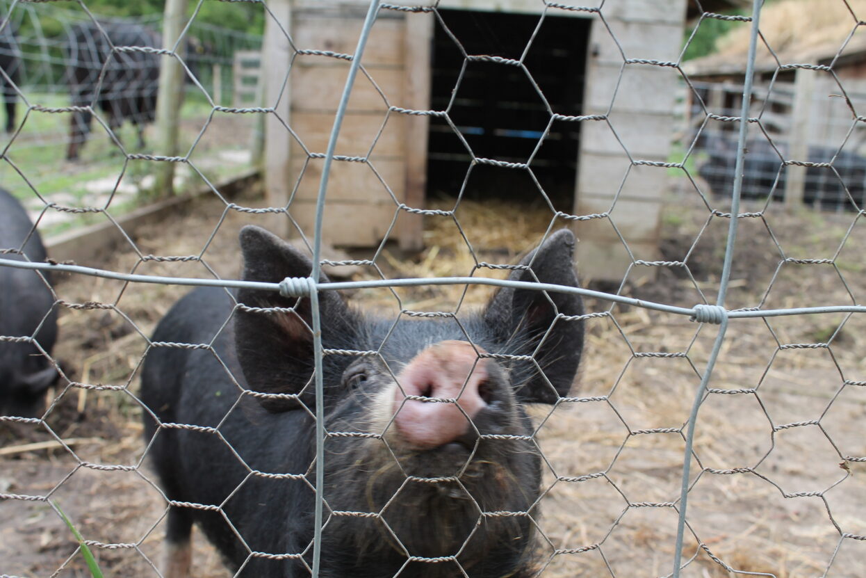 Contact Route2Work College – Route2Work